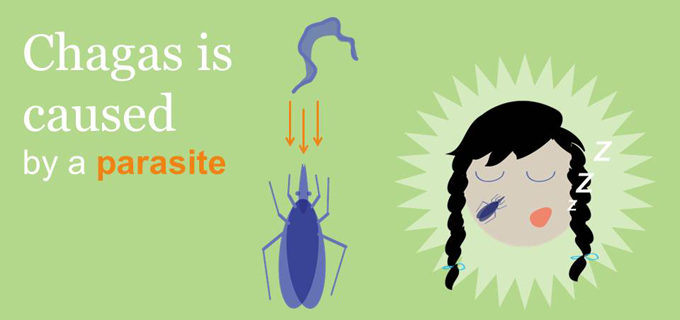 Chagas - Instituto de Salud Global Barcelona - ISGLOBAL