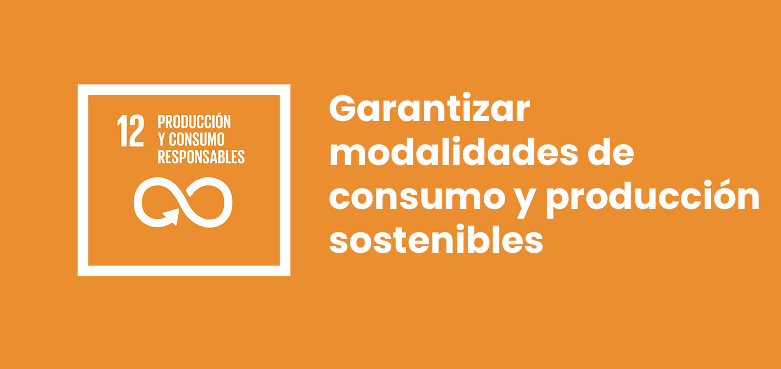 Objetivo 12 Garantizar Modalidades De Consumo Y Producción Sostenibles